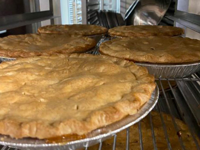 pine tree apple orchard 8