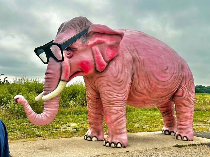 Pinkie the Elephant 2