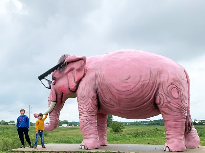 Pinkie the Elephant 4