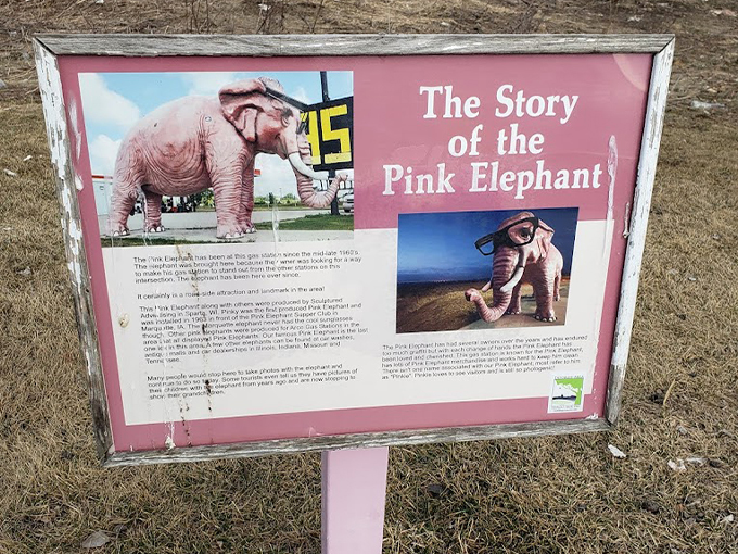 Pinkie the Elephant 6