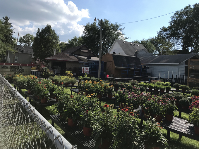 poyer&rsquo;s farm market 1