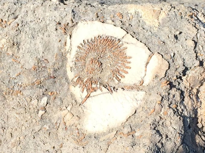 rockport state recreation area 5