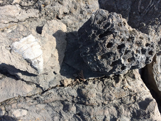 rockport state recreation area 6