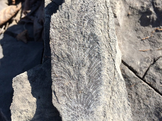 rockport state recreation area 7