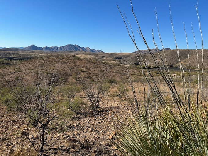 sonoita creek state natural area 3