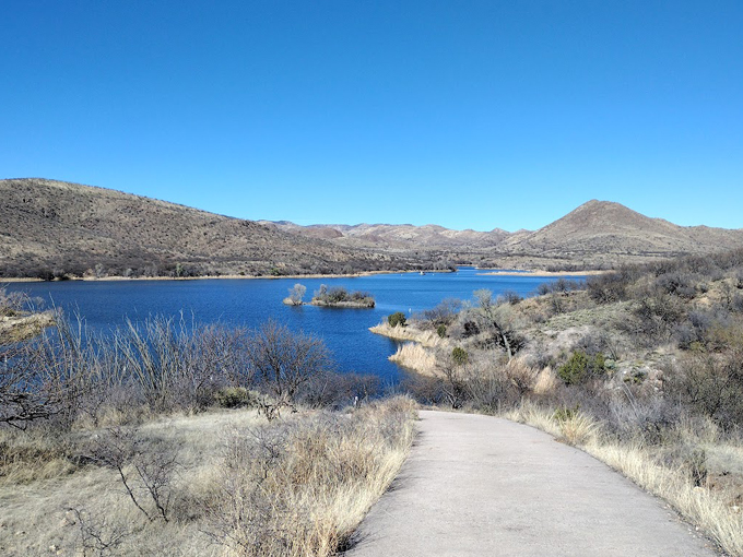 sonoita creek state natural area 4