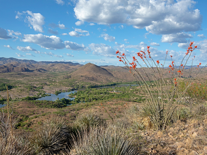 sonoita creek state natural area 5