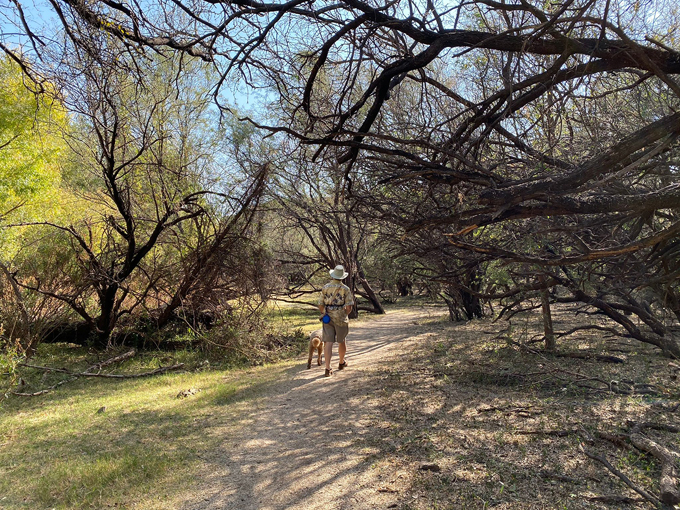 sonoita creek state natural area 9