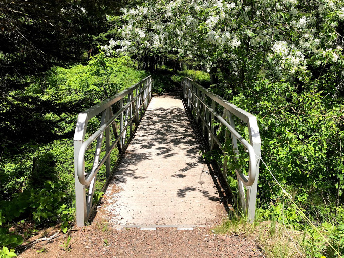 sugarloaf cove nature center 2