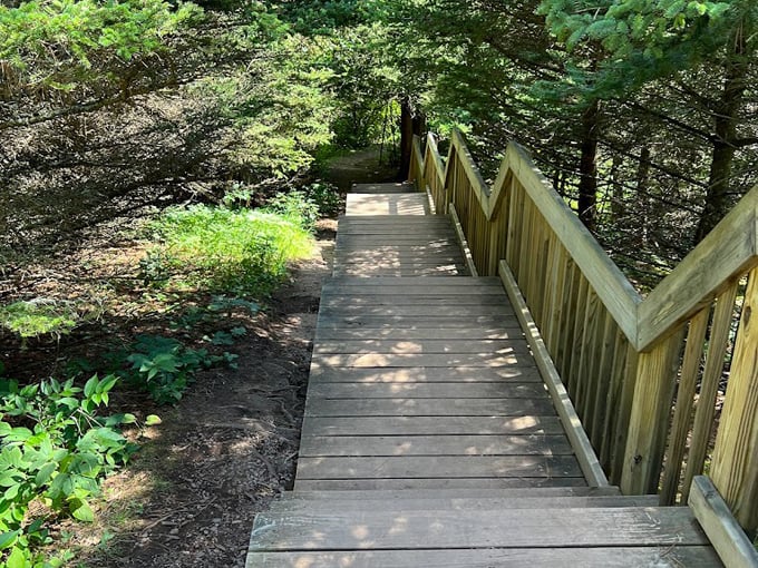 sugarloaf cove nature center 3