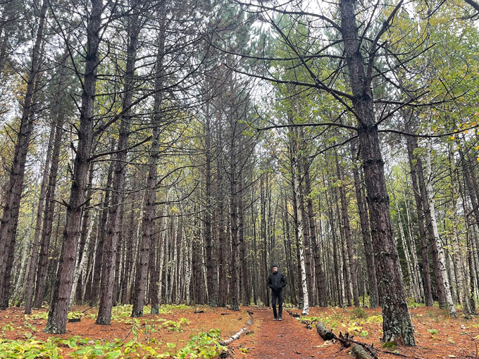 sugarloaf cove nature center 5