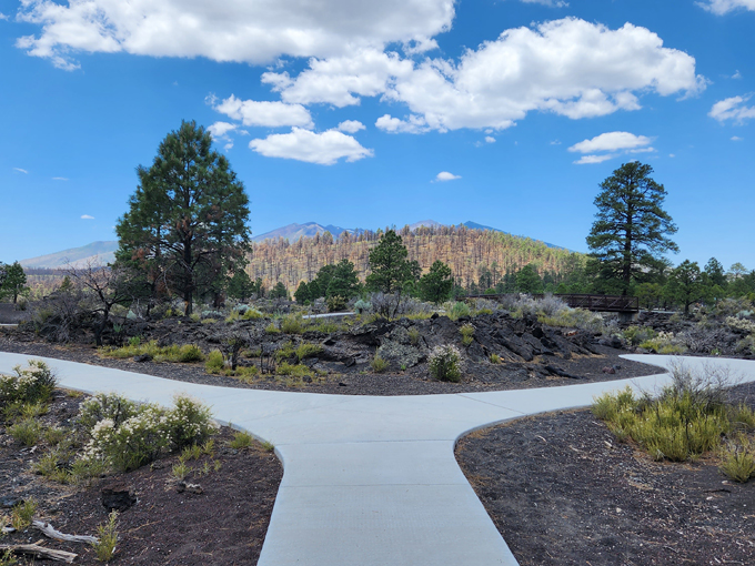 sunset crater volcano national monument 8