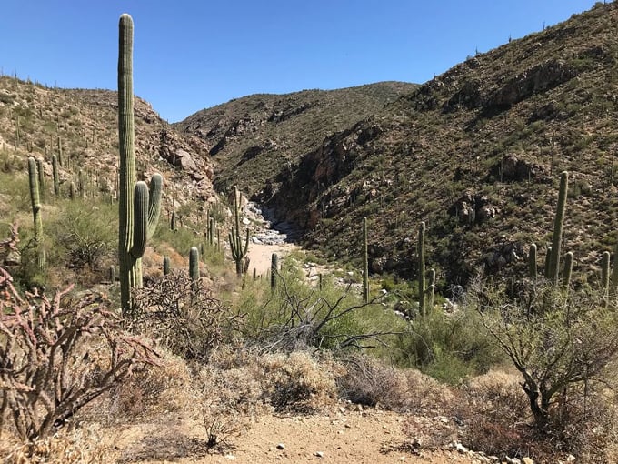 tanque verde falls trail 1