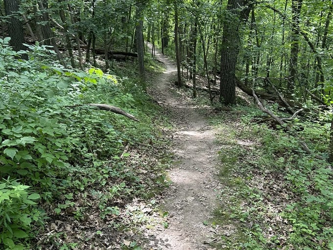 the bicentennial trail 4