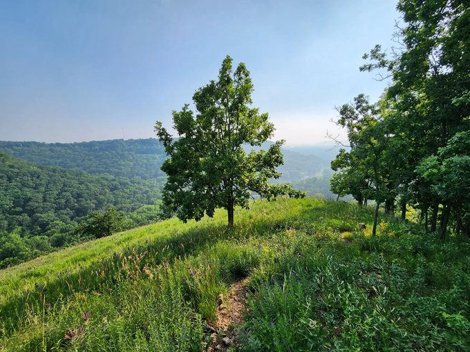 the bicentennial trail 5