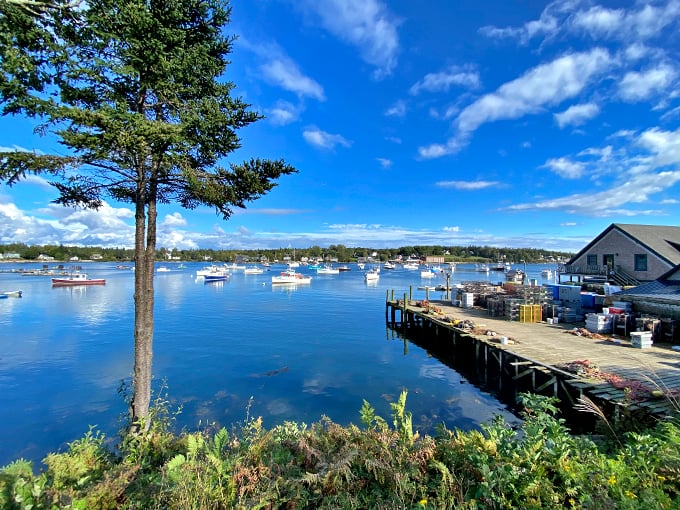 the cider house rules (2000) mount desert island, bass harbor