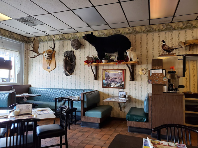 the greenwood cafe 3