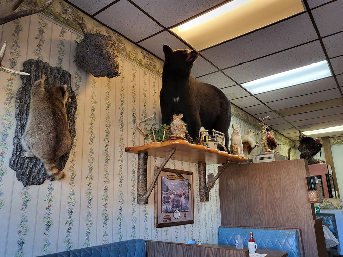 the greenwood cafe 8