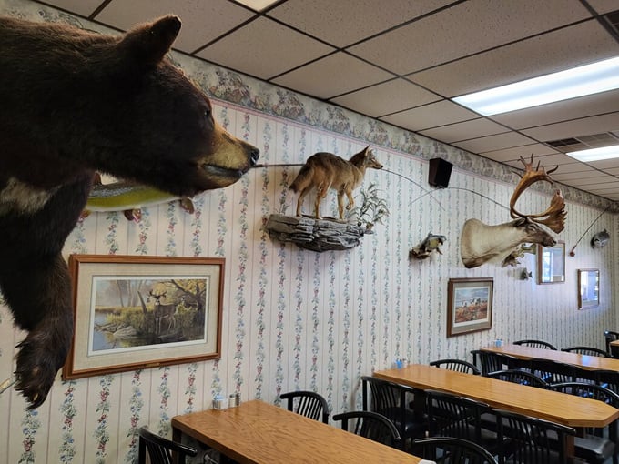 the greenwood cafe 9