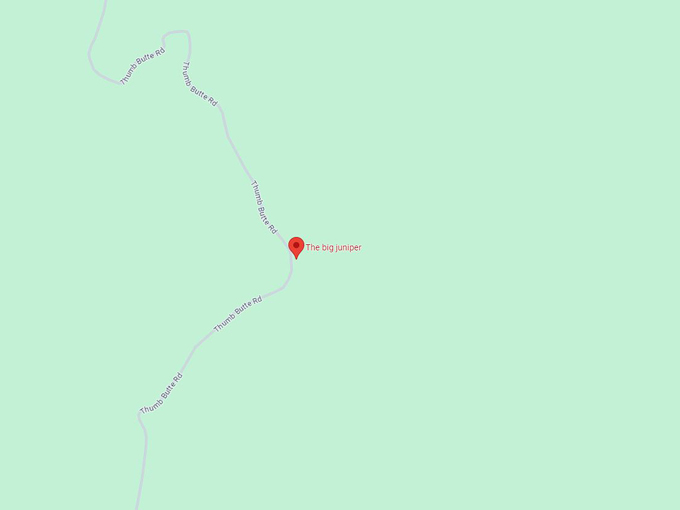 The big juniper 10 Map
