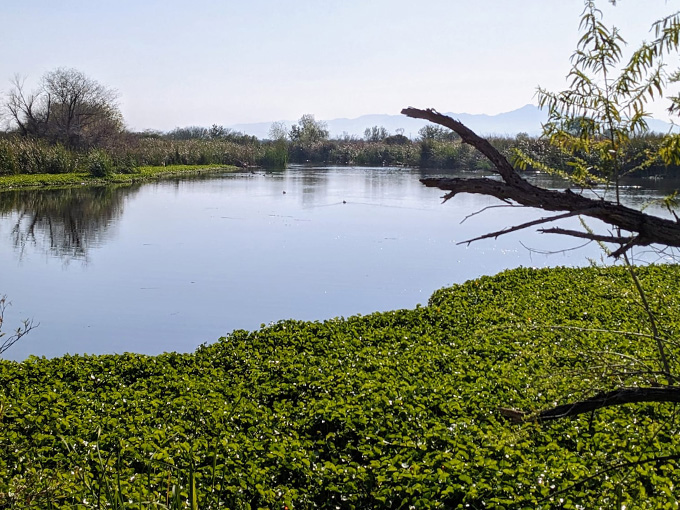 tres rios wetlands 2