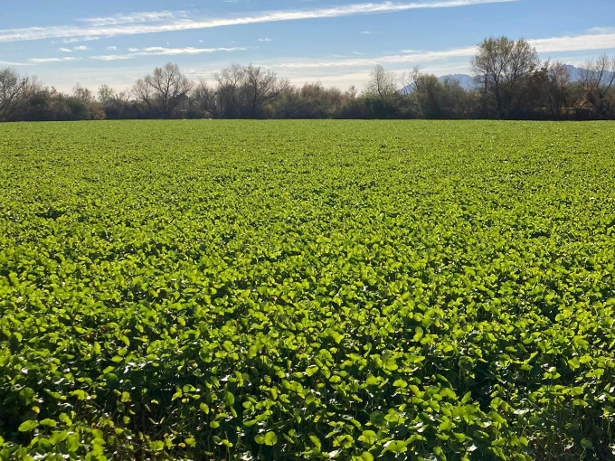 tres rios wetlands 3