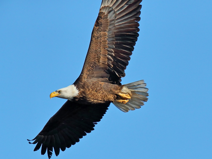 tres rios wetlands 5