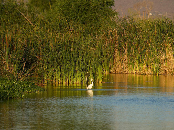 tres rios wetlands 6