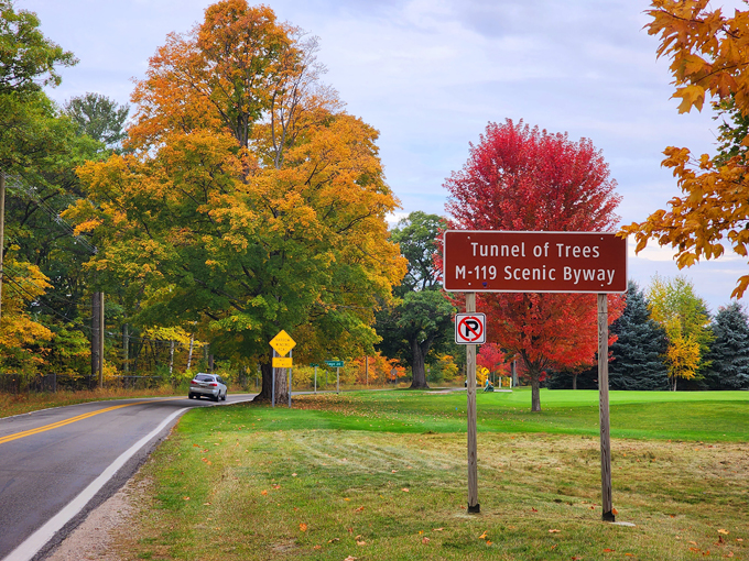 tunnel of trees hike 2