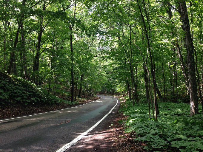 tunnel of trees hike 3