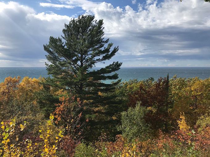 tunnel of trees hike 5