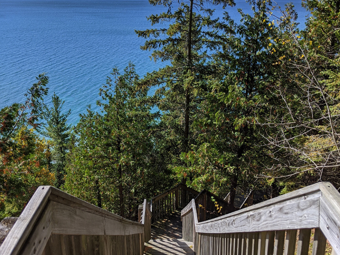 tunnel of trees hike 6