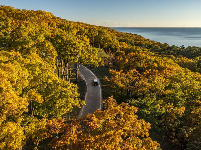 tunnel of trees hike 8