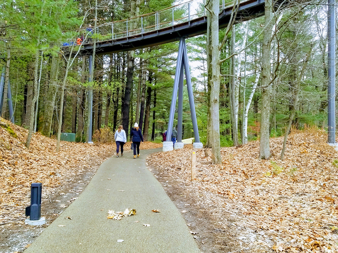 Whiting Forest of Dow Gardens 2