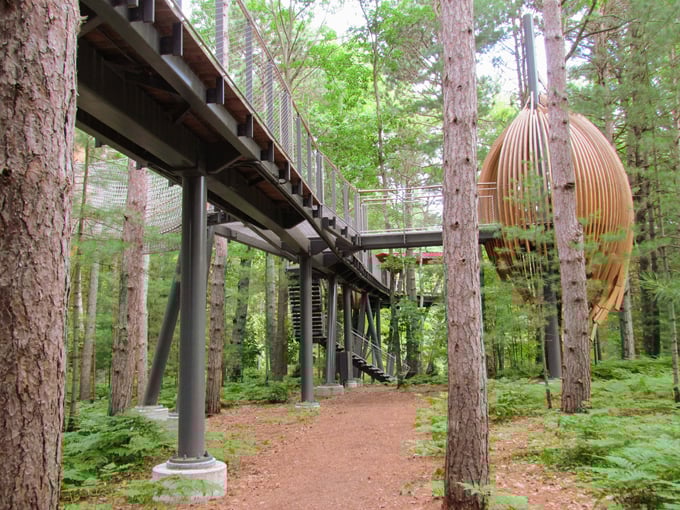 Whiting Forest of Dow Gardens 3