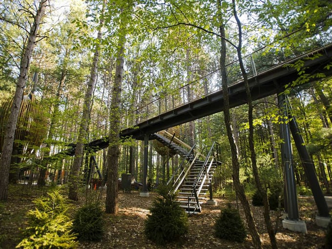 Whiting Forest of Dow Gardens 4