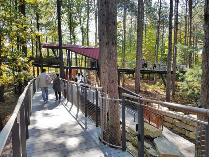 Whiting Forest of Dow Gardens 5