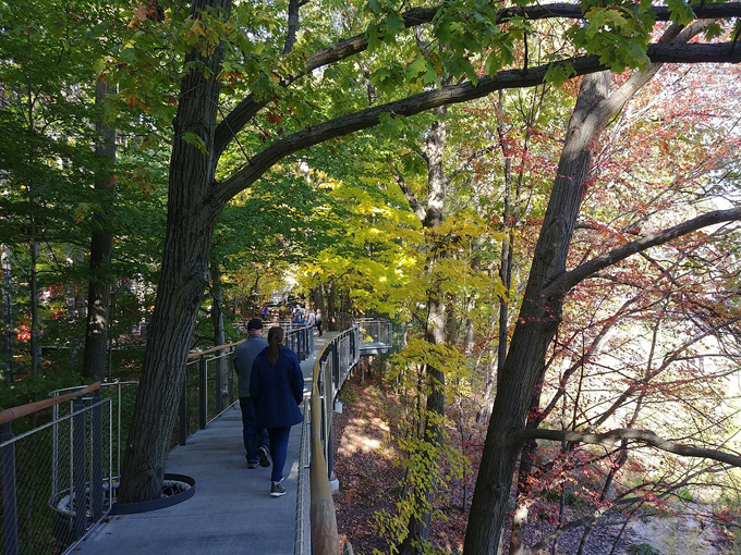 Whiting Forest of Dow Gardens 7