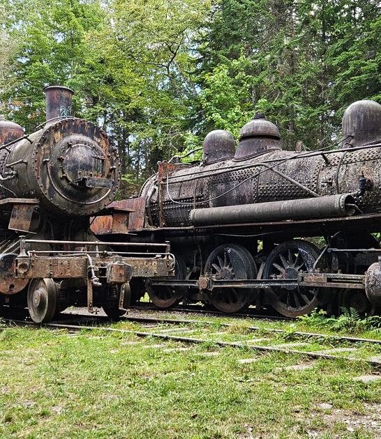 allagash abandoned train maine ftr