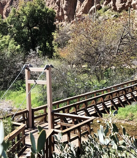 arizona garden wonderland ftr