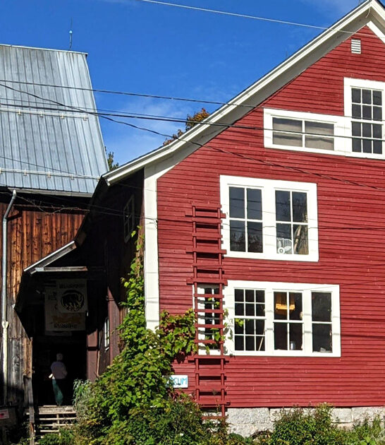 astonishing puppet collections vermont ftr