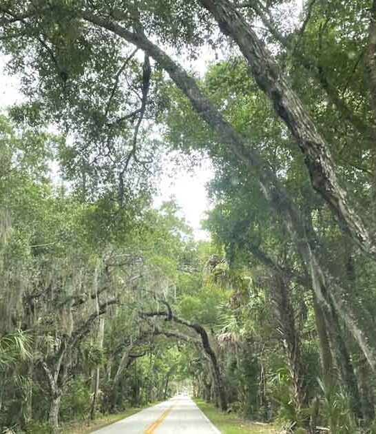bay beach loop florida ftr