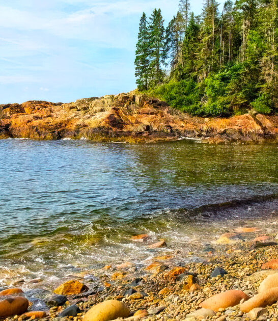 beach trail acadia maine ftr
