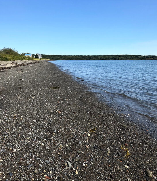 beaches maine sea glass ftr