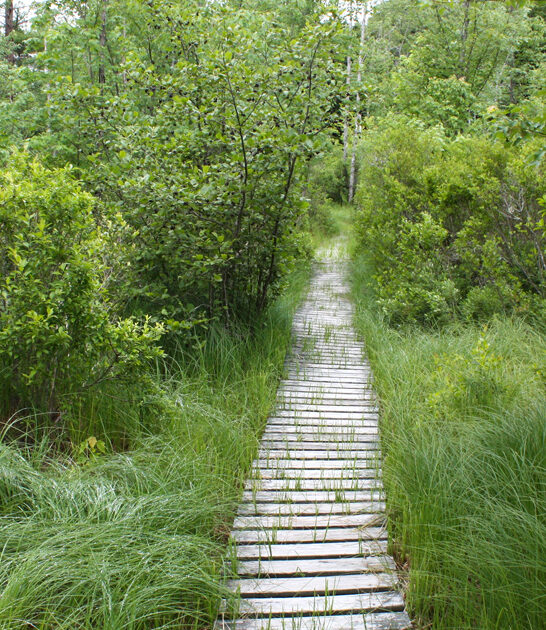 best trails maine towns FTR