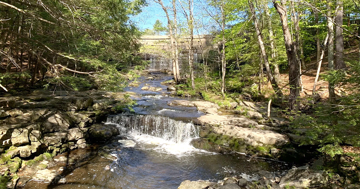big falls preserve maine ftr