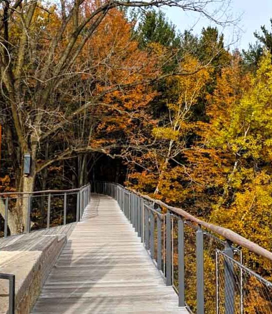 canopy walk michigan ftr