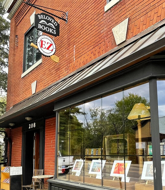 cozy nostalgic michigan bookstore ftr