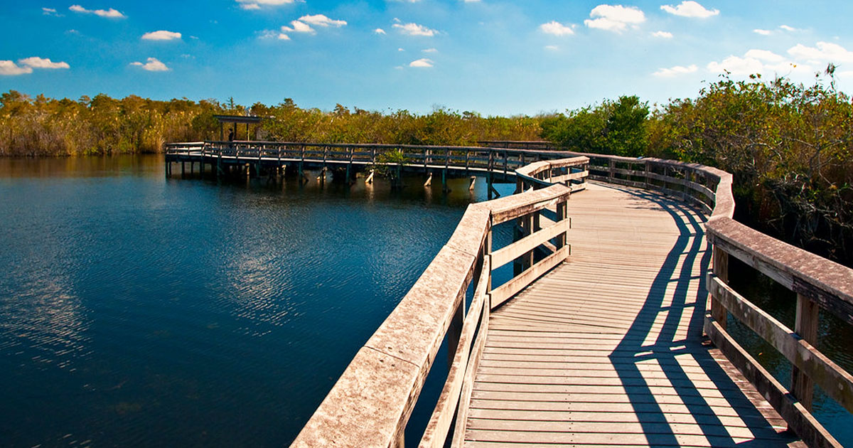 cycle the everglades florida ftr