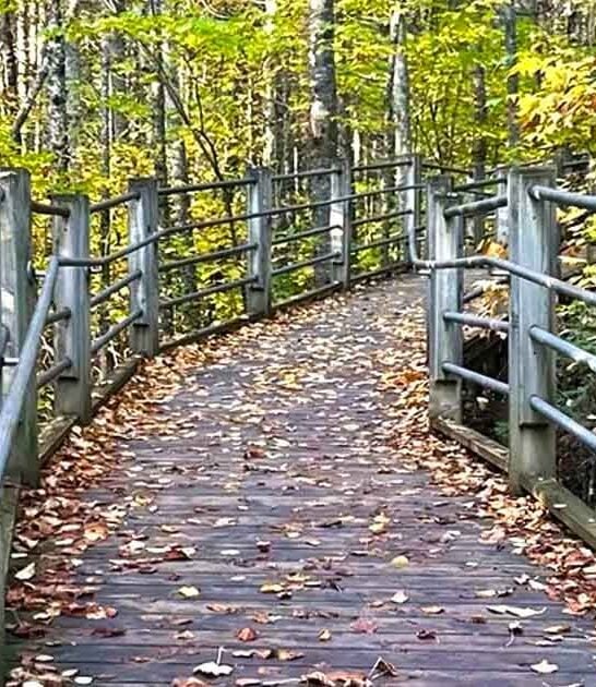 day hike trail minnesota ftr